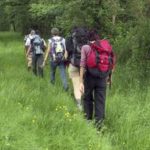 Accueil - Communauté de Communes Mirecourt Dompaire